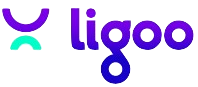 Resumen de configuración del registro | Ligoo